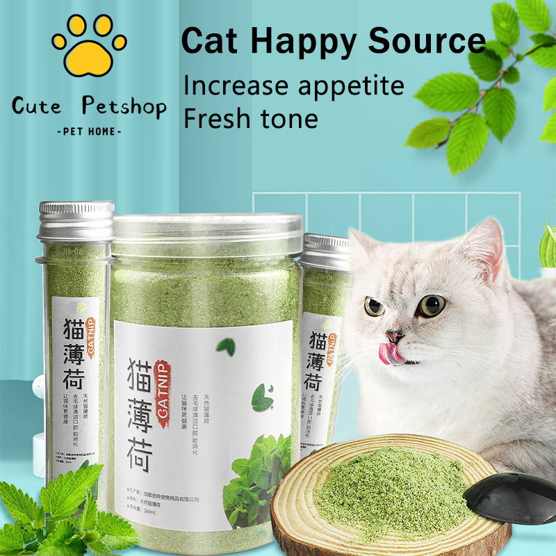 50ml Catnip Treat for Cats Cat Treat Catnip | Shopee Philippines