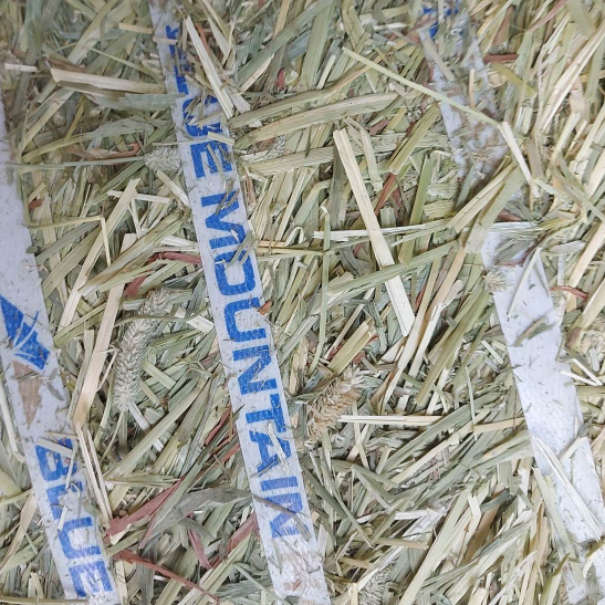 Timothy Hay Standard and Economy Grade | Shopee Philippines