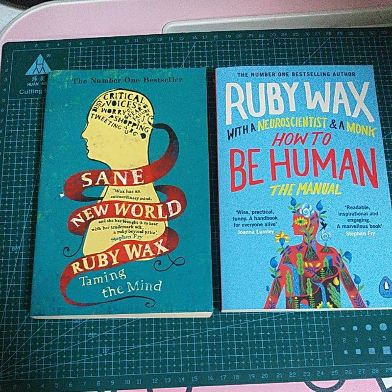 Ruby Wax (Self-help, Mental Health, Non Fiction) Books Secondhand per ...