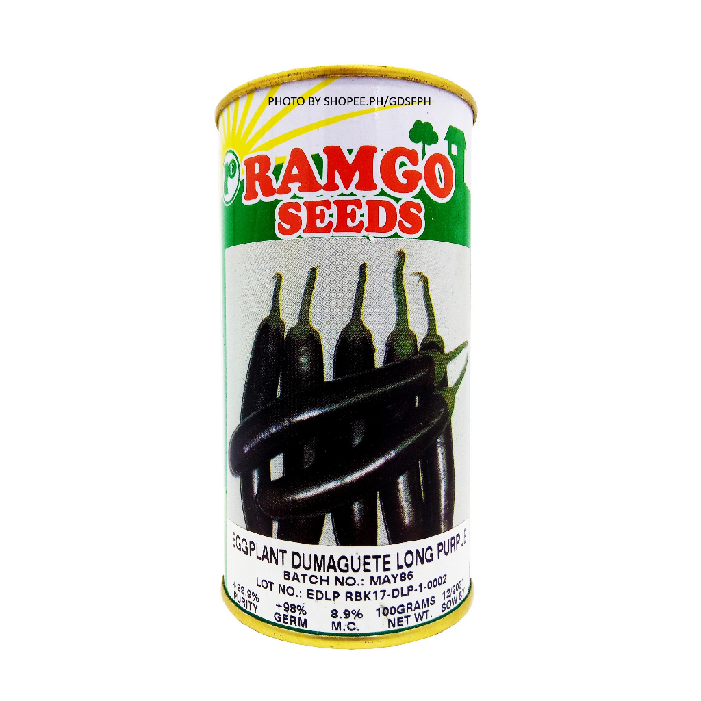 Ramgo Seeds Tin Can Eggplant Dumaguete Long Purple 100g GDSFPH_S4 ...