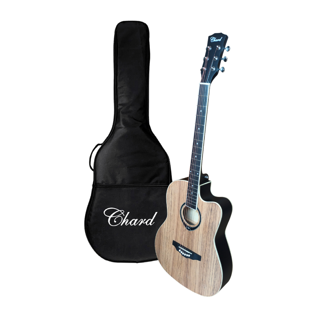Chard EB16 Acoustic Guitar with Bag (6-string full scale guitar ...