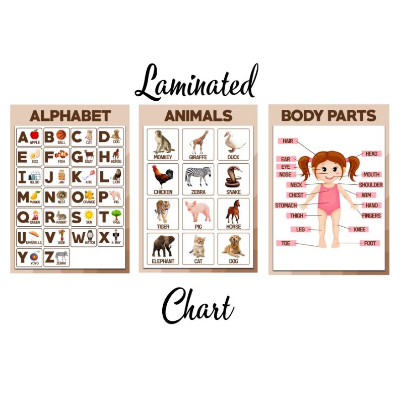 Laminated chart for kids all in | Shopee Philippines
