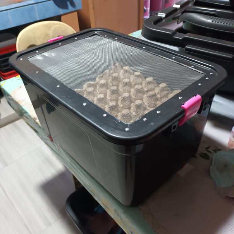 PET SUPERWORM / PET MEALWORM / PET DUBIA / PET ROACH BIN ENCLOSURE ...