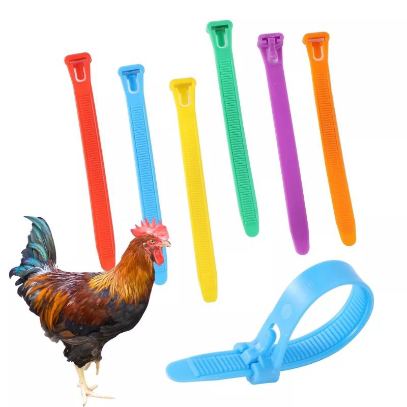 Cable Ties ng Manok. Chicken Feet Tag 5pcs. | Shopee Philippines