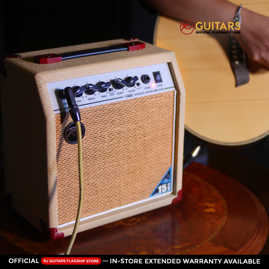 Rj Guitars Sound Wave Acoustic Amplifier - 15 Watts | Shopee Philippines