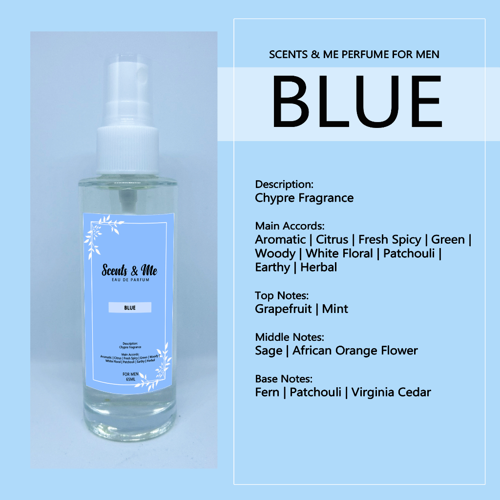 Blue | Perfume for Men 65ml | Shopee Philippines
