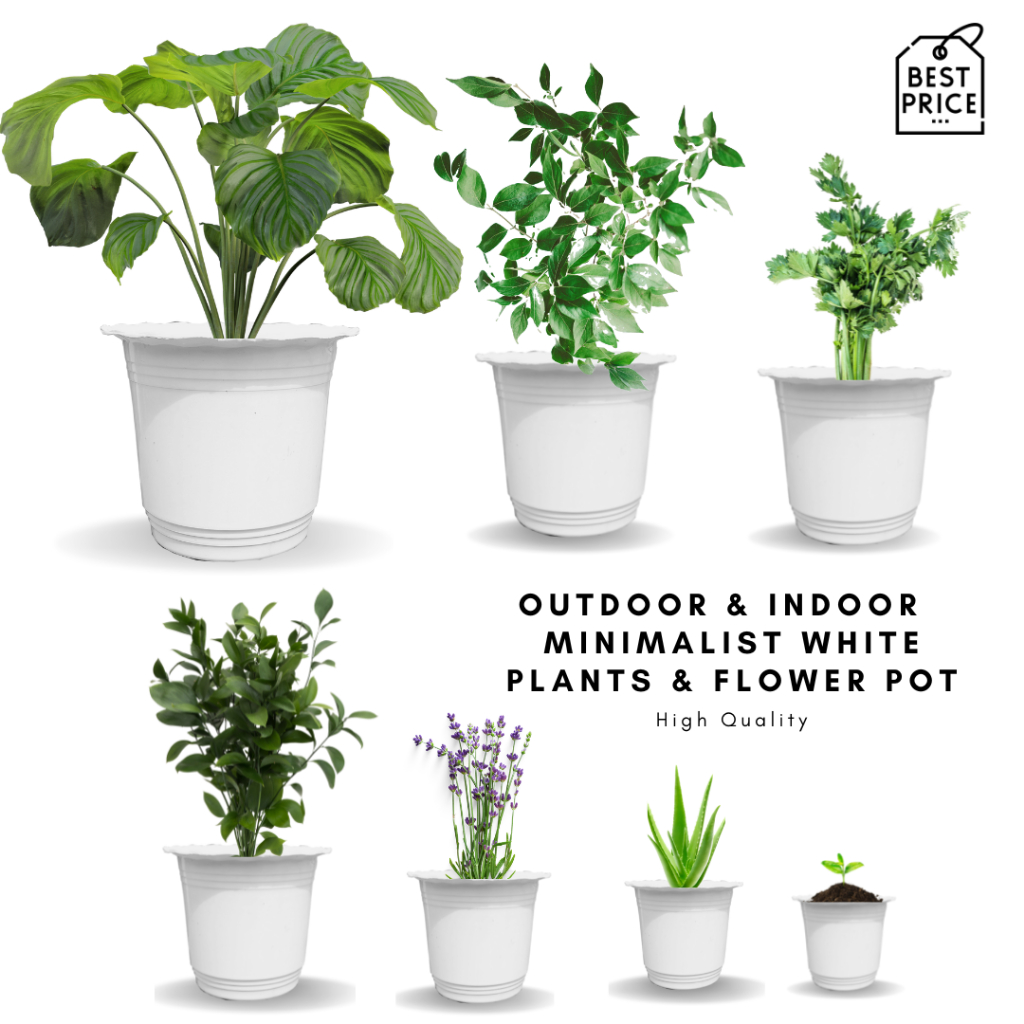 BUY 2 GET 1 FREE Flower Pots Minimalist White And Brown Indoor Outdoor ...
