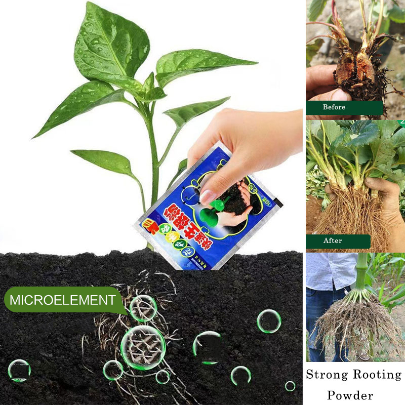 Rooting Powder Rapid Growth for Plants | Shopee Philippines