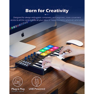 [ fast ship ] WORLDE Panda mini Portable Mini 25-Key USB Keyboard and ...