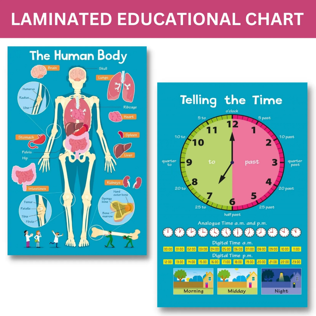 Laminated Human Body, Times Table, Telling Time, Addition Educational ...