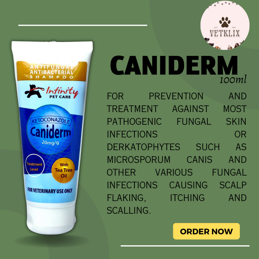 [VETKLIX] Caniderm Antibacterial & Antifungal Shampoo 100mL Medicated ...