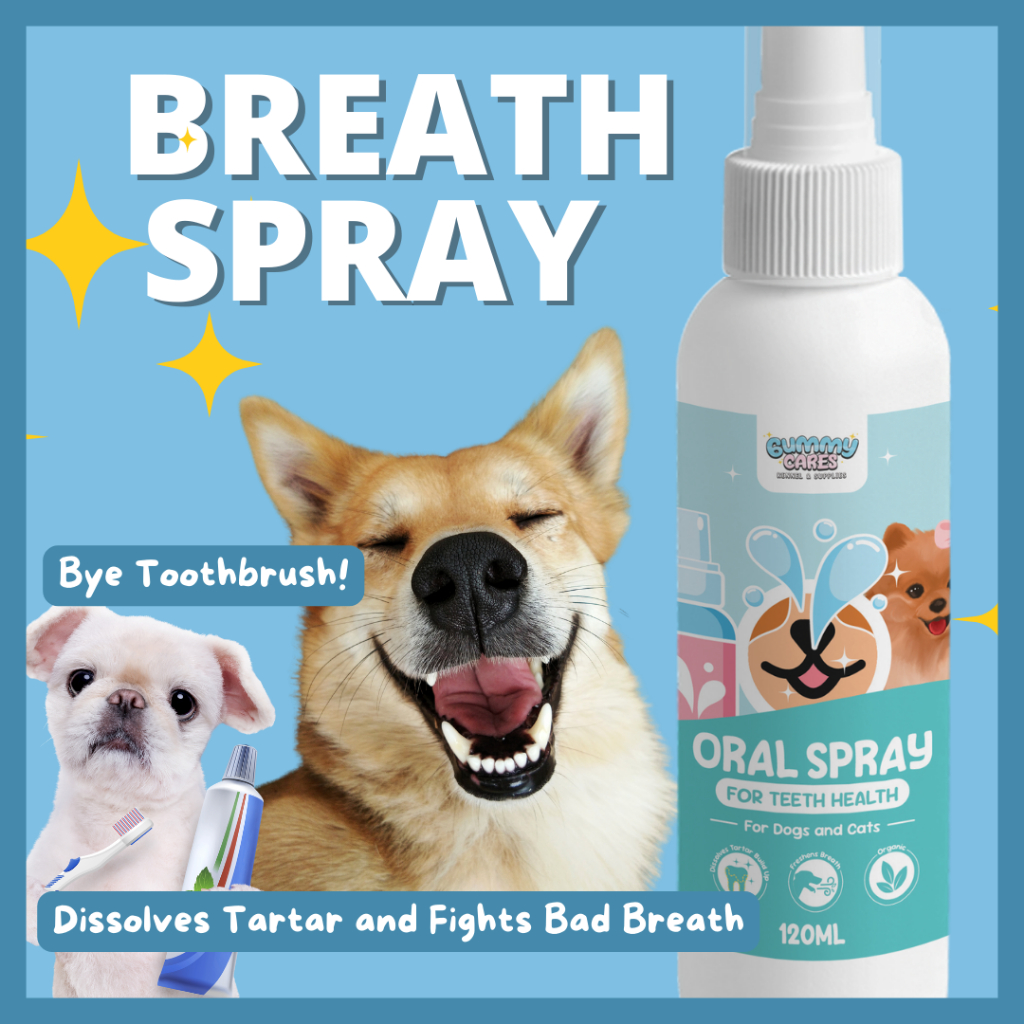 BREATH SPRAY Oral Spray Dental Spray Cat Dog Natural Organic Plant ...