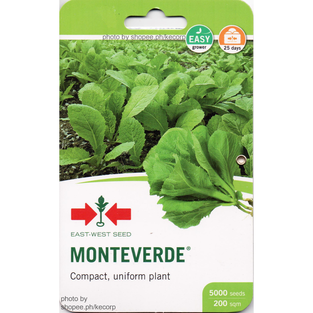 Eastwest Vegetable F1 Monteverde Mustard Mustasa Approx 5000 Seeds ...
