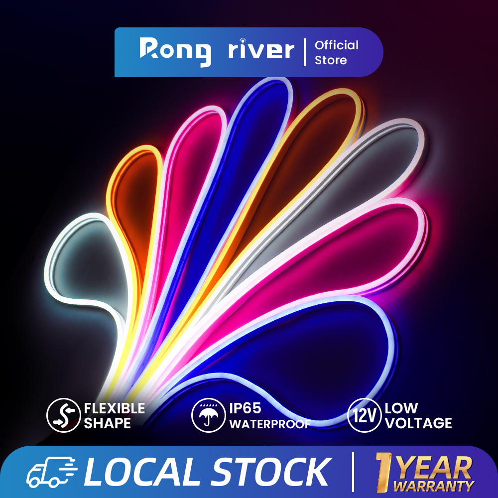 RONG RIVER 220V Neon LED Strip Light 5M+Plug Waterproof LED Light for ...