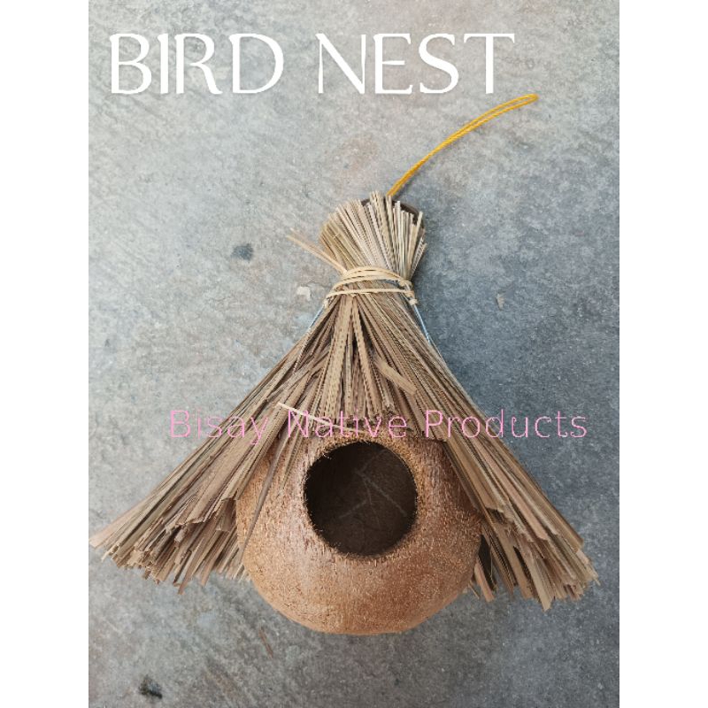 1PC. COCO BIRD NEST/ COCONUT BIRD NEST | Shopee Philippines