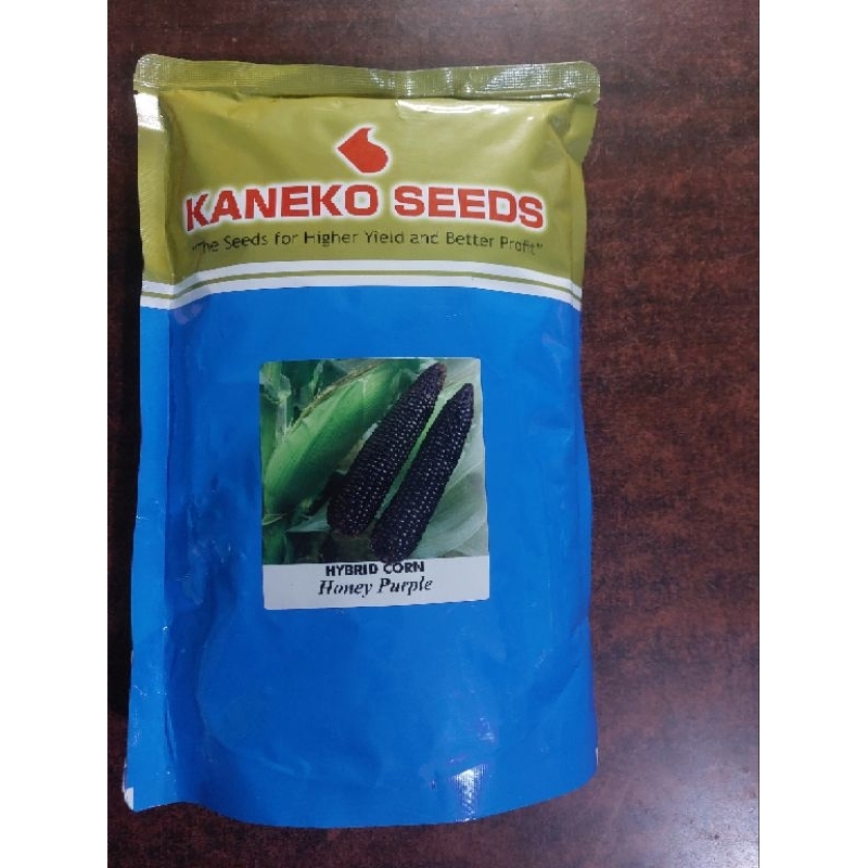 HONEY PURPLE F1 (1 KILO) HYBRID PURPLE CORN / MAIS SEEDS BY KANEKO ...