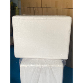 Styro Box / Big / Size : (L) 22” x (W) 15 “ x (H) 17” | Shopee Philippines