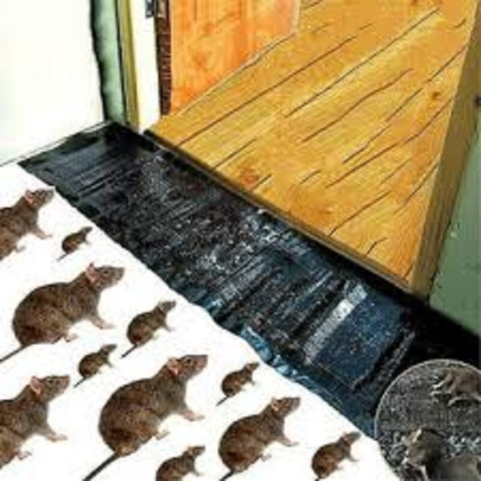 Big Sticky MICE Glue Large Mouse Glue Traps Rat Sticker Trap Mat Strong ...