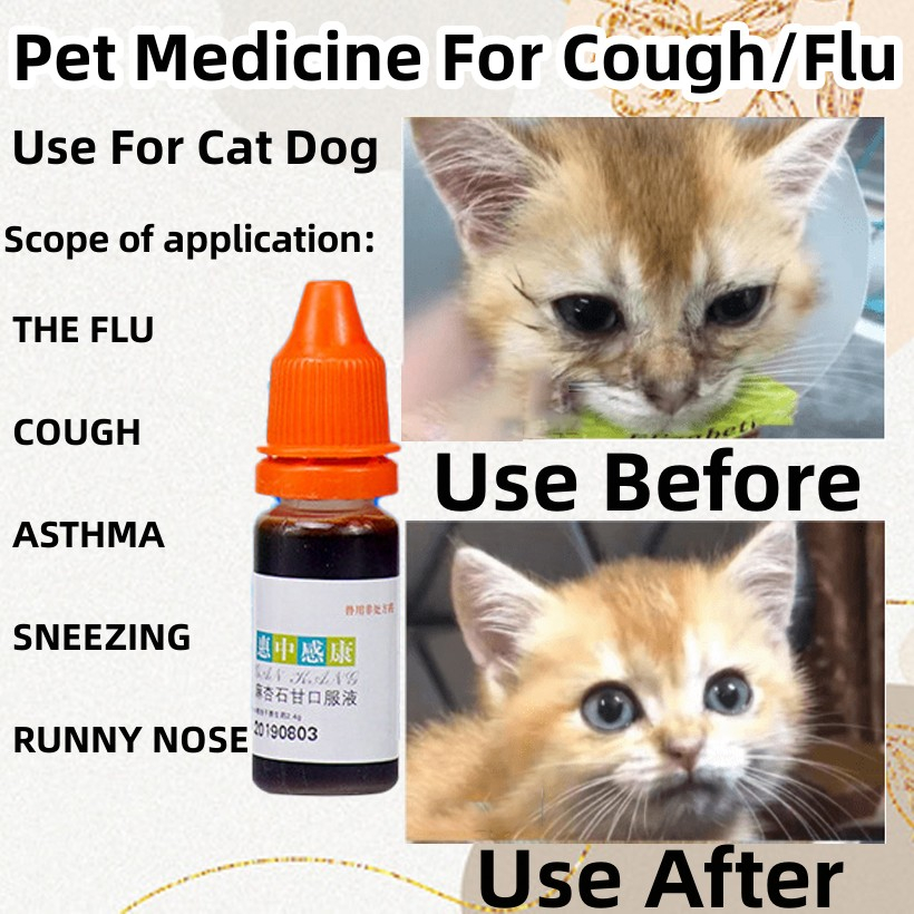 Cat Cough Medicine Cough Medicine For Dogs Dog Medicine For Cough Cold ...