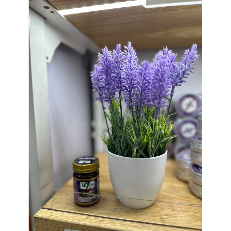 LAVENDER SLEEP BALM SEVEN (green se7en) made in THAILAND 🇹🇭 50g ...