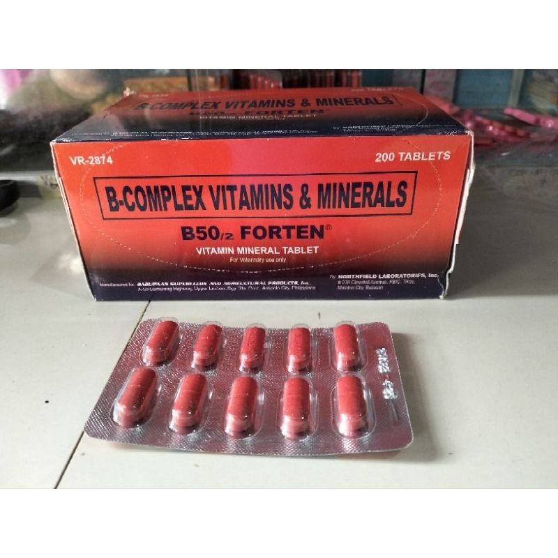 Sagupaan B50 Forten Sold per Banig (10tablets) | Shopee Philippines