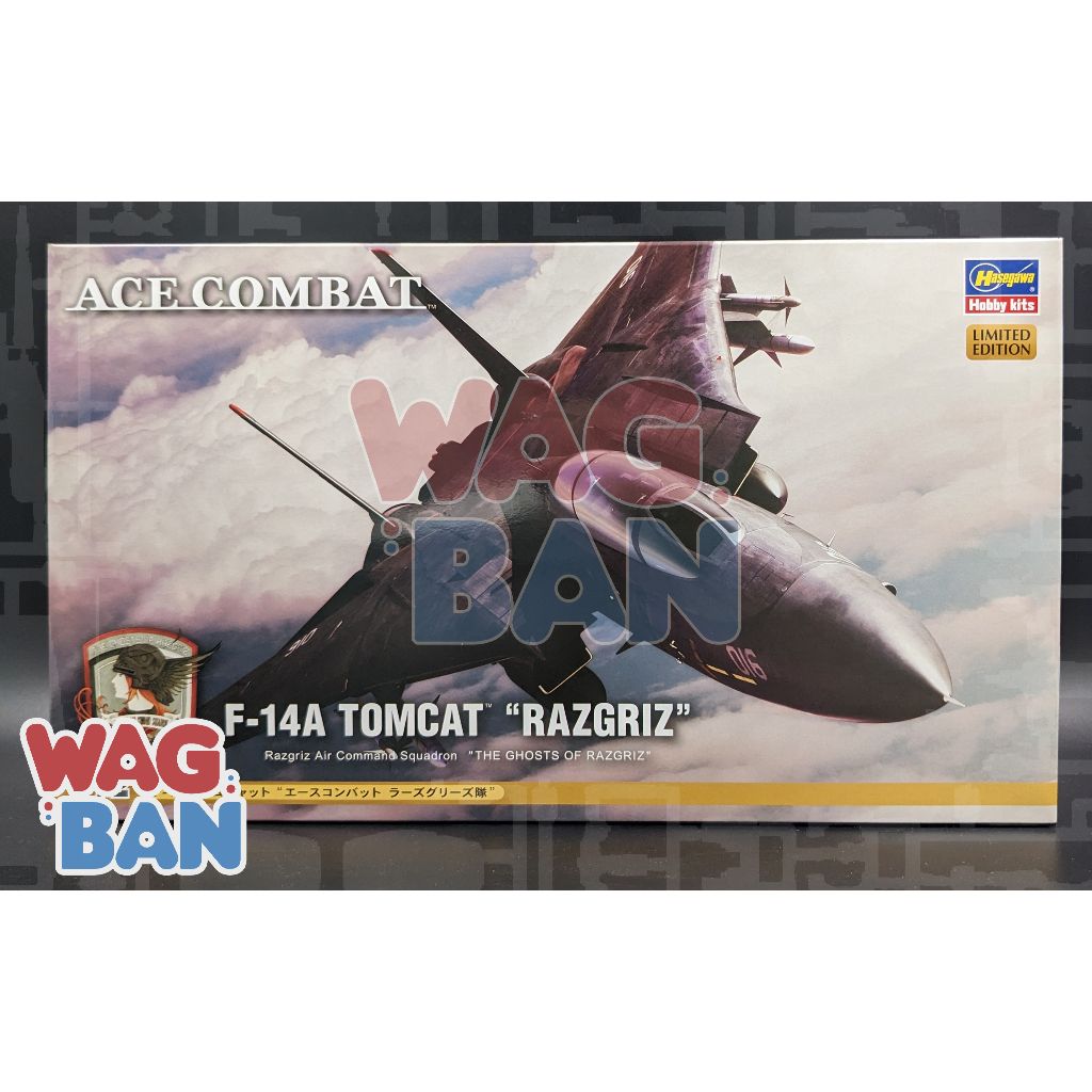 Hasegawa 1/72 F-14A Tomcat Ace Combat Razgriz (Ace Combat) | Shopee ...