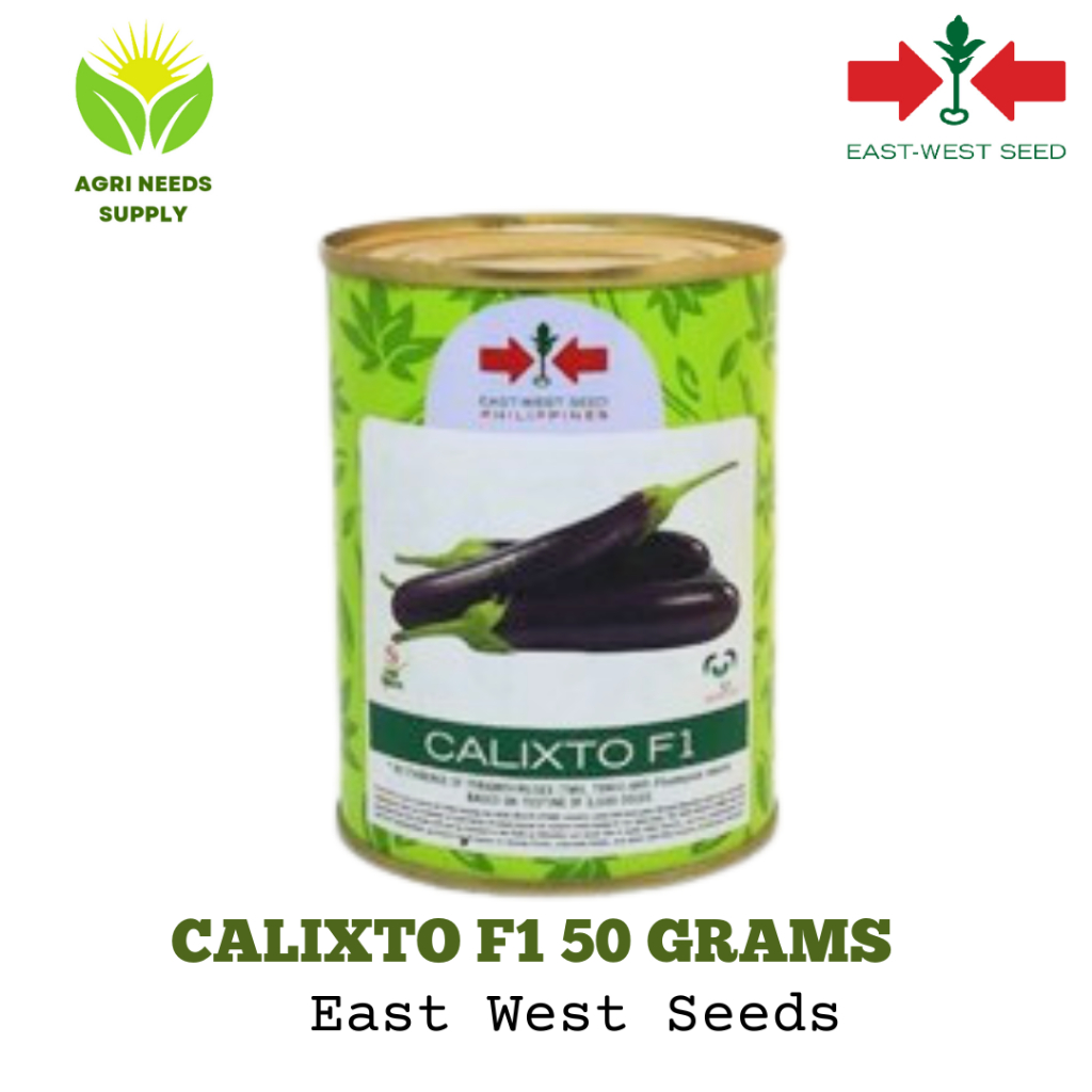 Calixto F1 (Eggplant) / East West Seeds (50gms) | Shopee Philippines