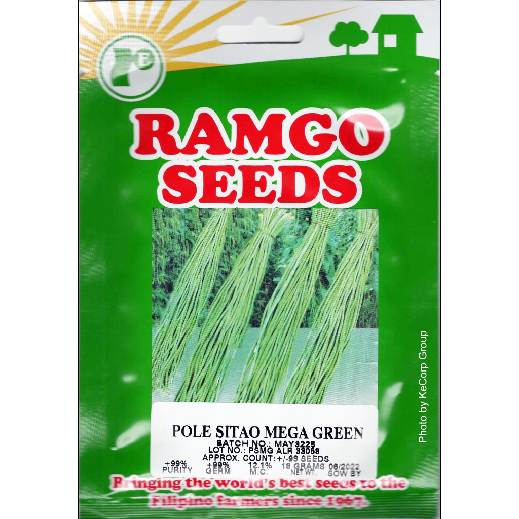 Ramgo Seeds - Pechay Pakchoi Eggplant Ampalaya Patola Upo Sitao Okra ...