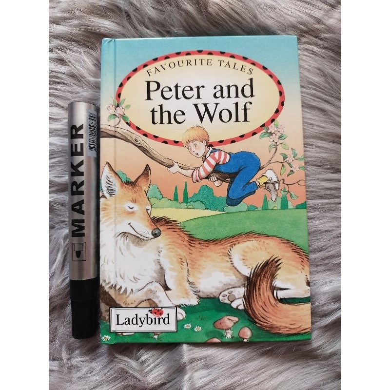 Mini Hardbound Storybook | Ladybird Storybook | Shopee Philippines