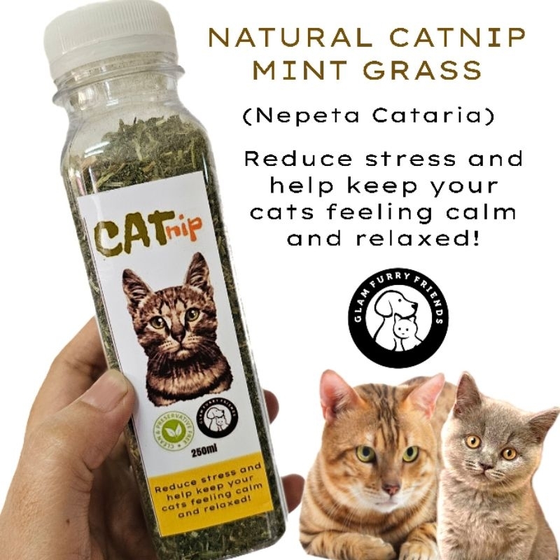 ALL NATUTAL CATNIP MINT GRASs FOR CATs TEA AND TREATS ( 250ml/50g ...