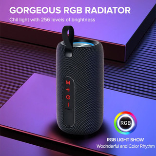 TYLEX XSP01 Portable Bluetooth Speaker with RGB Light 5.3 Bluetooth TWS ...