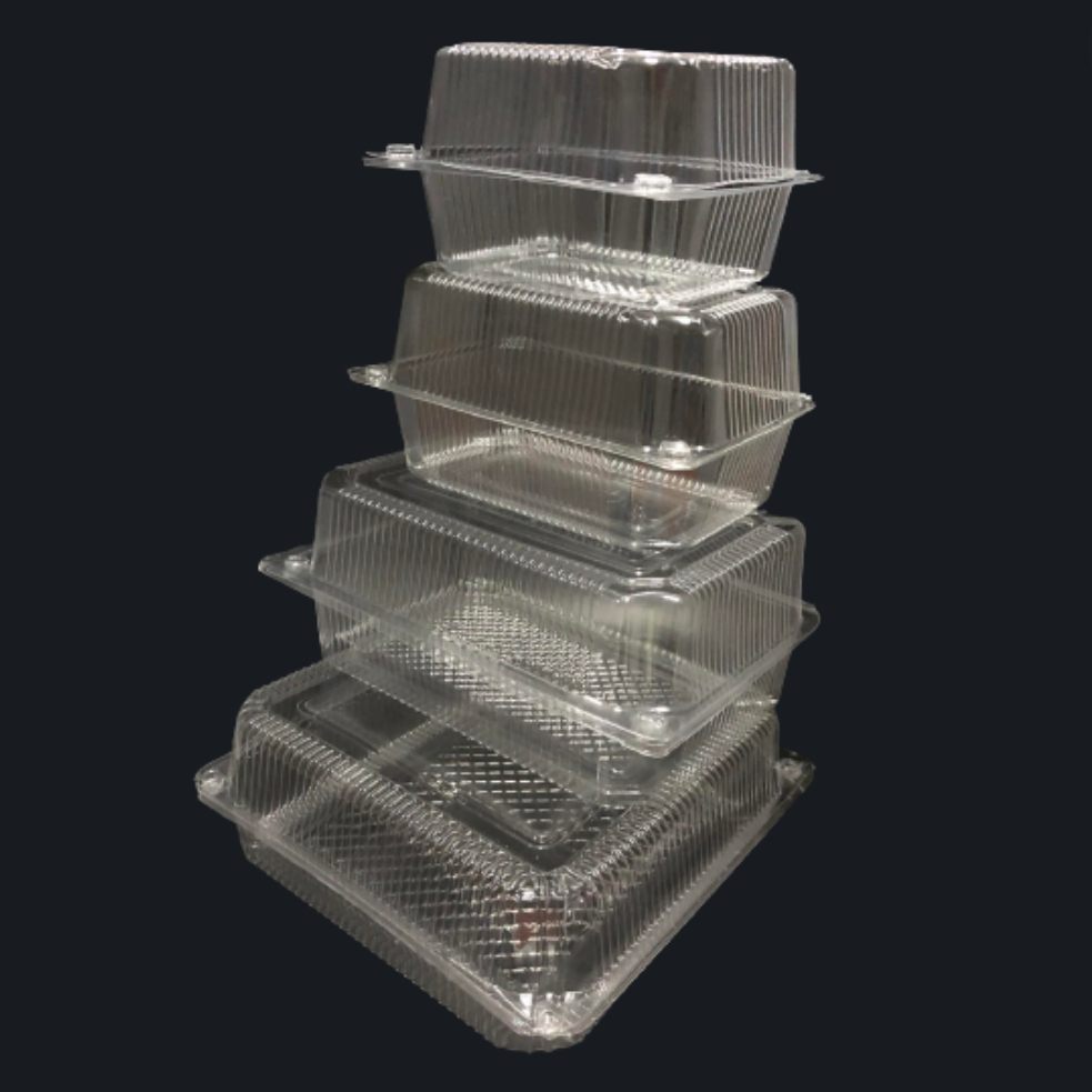 10pcs Plastic Clamshell Container | Shopee Philippines