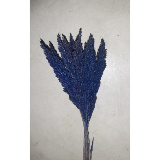 Trigo grass per bundle (₱40 per bundle) | Shopee Philippines