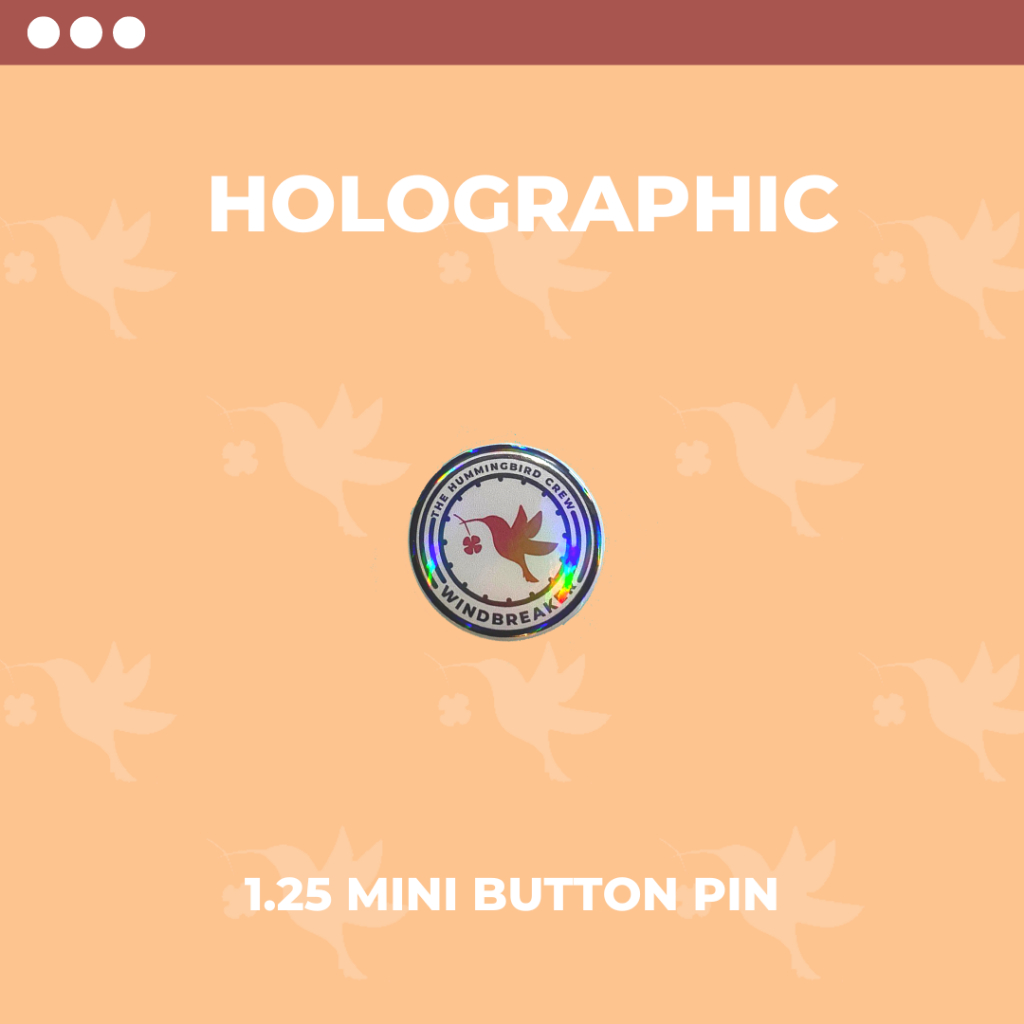 Windbreaker Webtoon Hummingbird Fan-made Merchandise Button Pin Korean ...