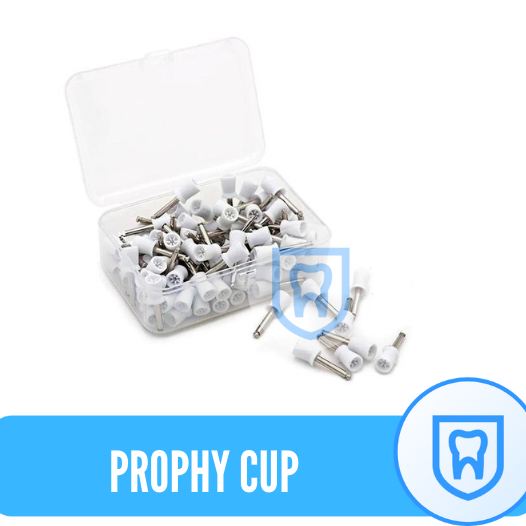 Prophy Cup (Sold per PIECE) | Shopee Philippines