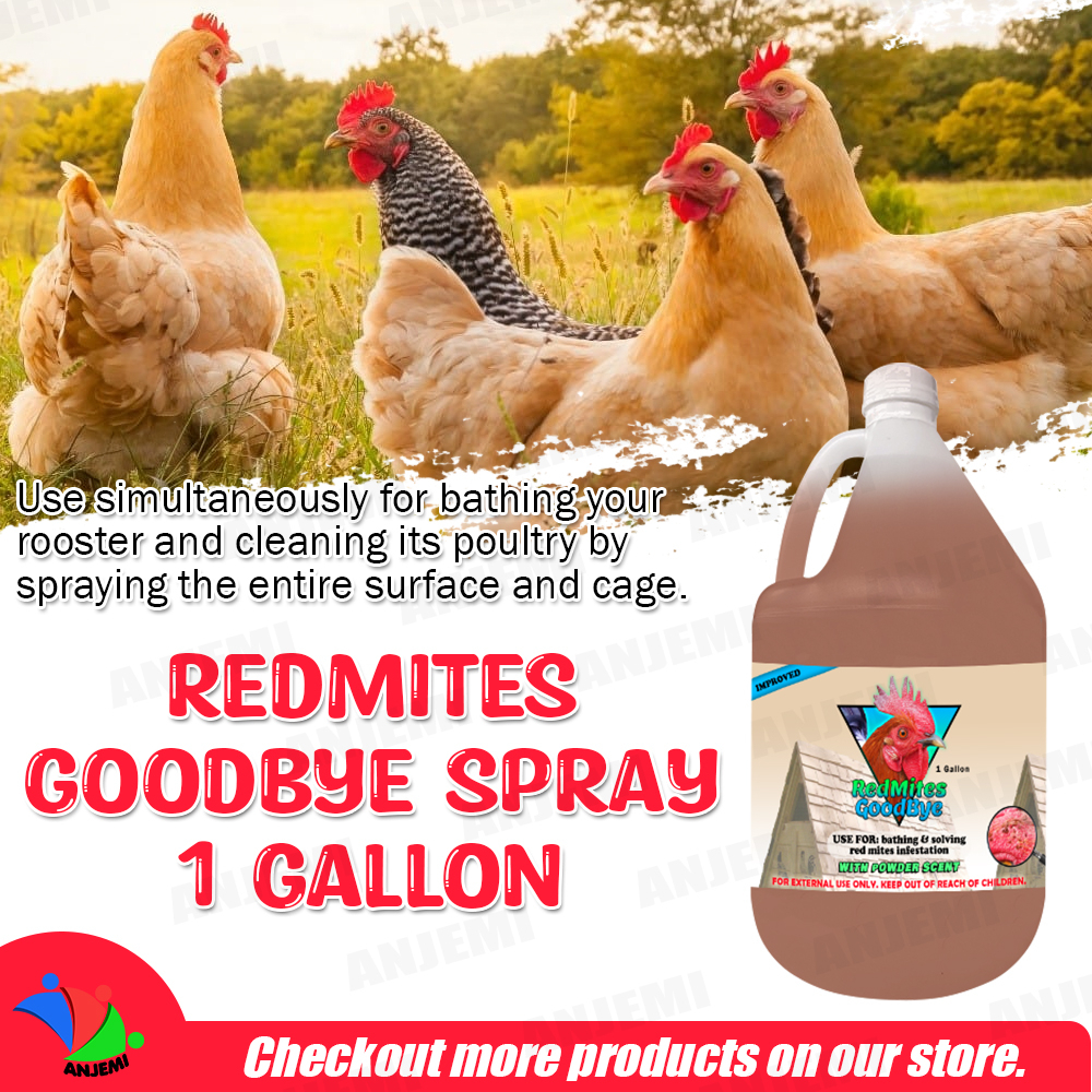Redmites Goodbye Spray 1 Gallon Natural Natural Rooster Redmites Killer ...