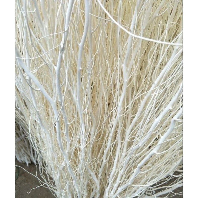 DRIED TWIGS home decor/real twigs/dried twigs | Shopee Philippines