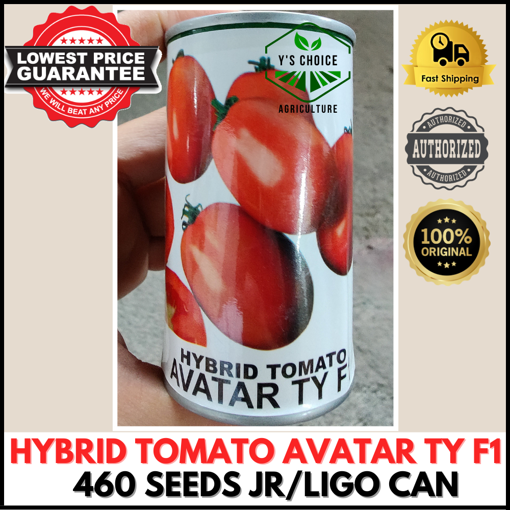 CONDOR SEEDS - TOMATO SEEDS - AVATAR TY F1 HYBRID 460 Seeds - JR CAN ...