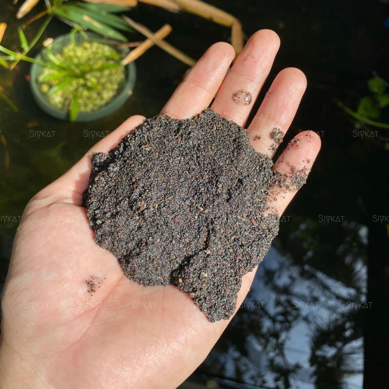 AQUARIUM SUBSTRATE BLACK SAND LAVA BITS | Shopee Philippines