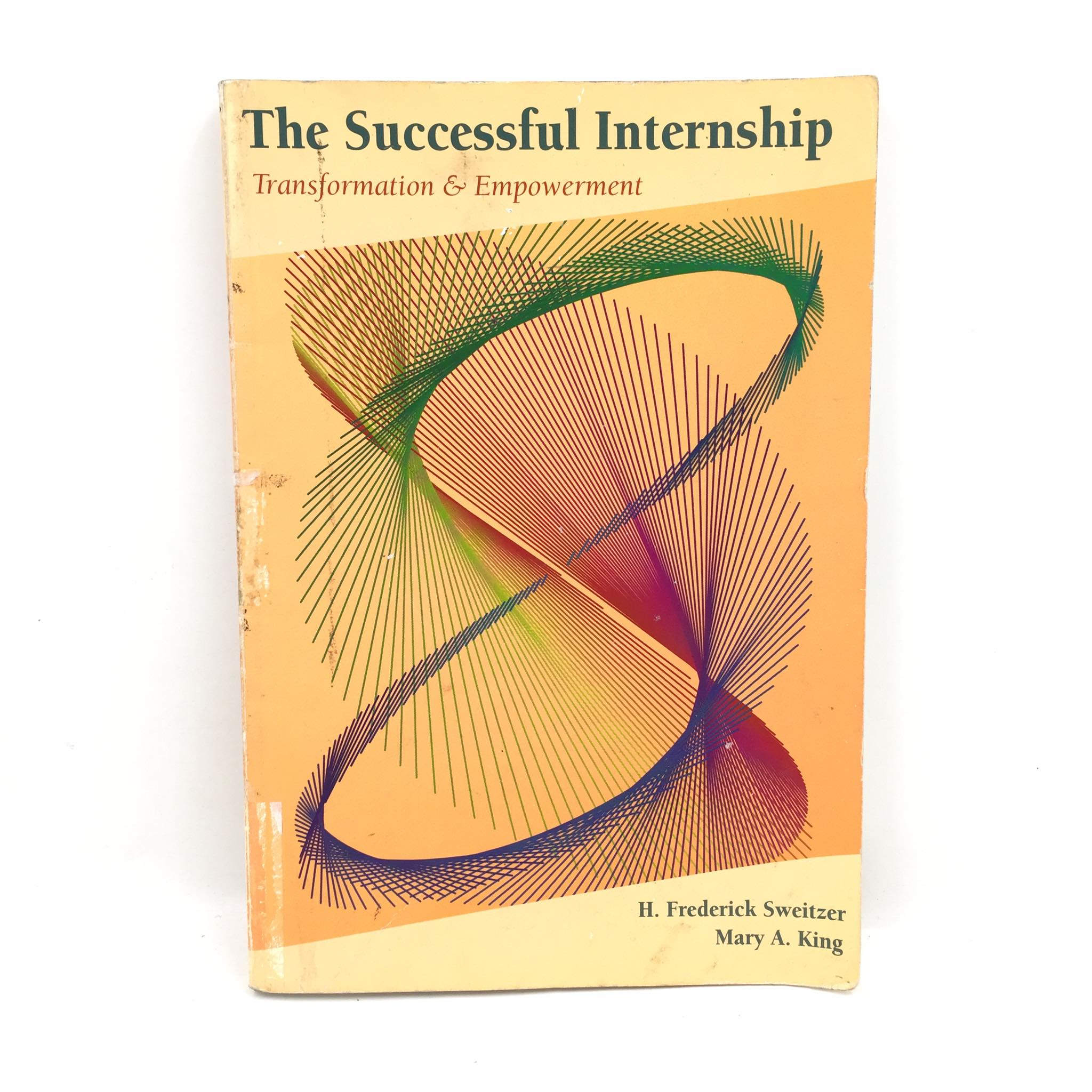 The Successful Internship: Transformation and Empowerment - Psycho ...