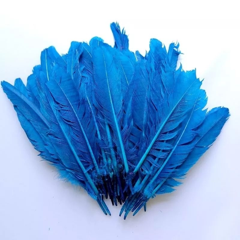 30 grams CHICKEN Balahibo Feather PAKPAK for DIY crafting decorations ...