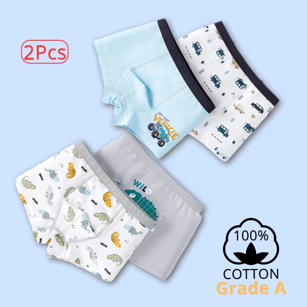 2pcs Set Boxer for Kids Boys 100% Cotton Cute Printed Design Boxer ...