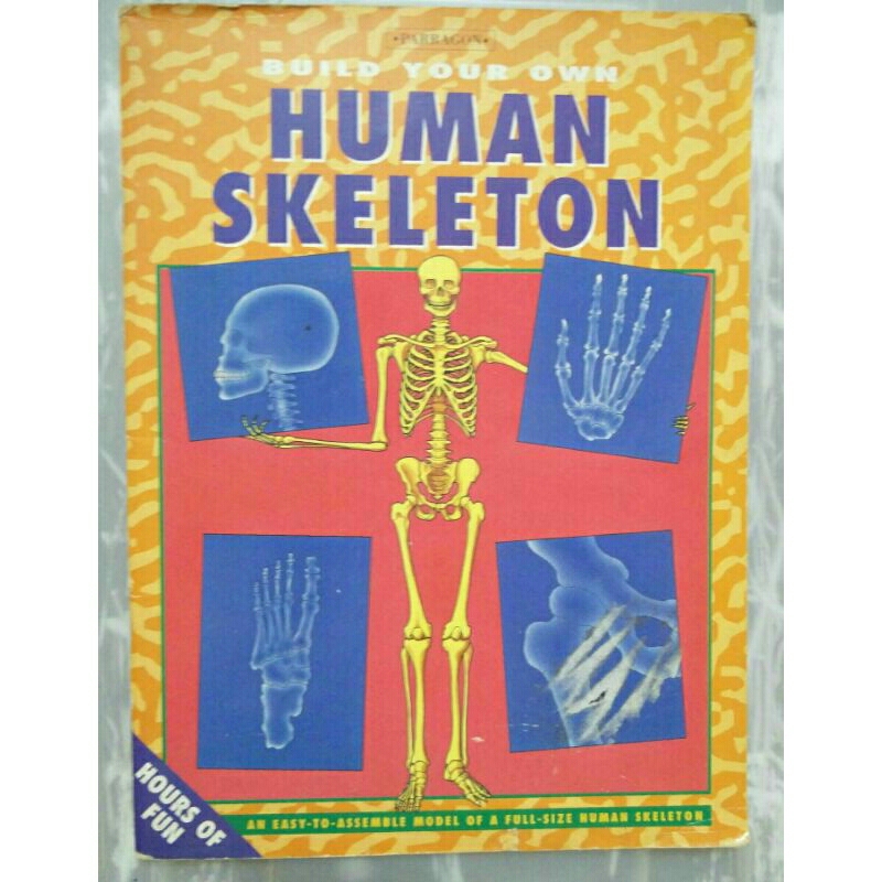 Activity Book Build your own Human Skeleton | Shopee Philippines