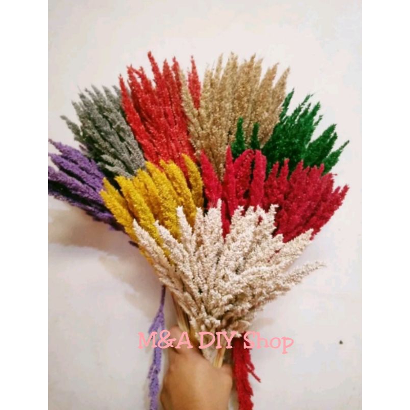 Dried Trigo Flower ( 6stem ) | Shopee Philippines