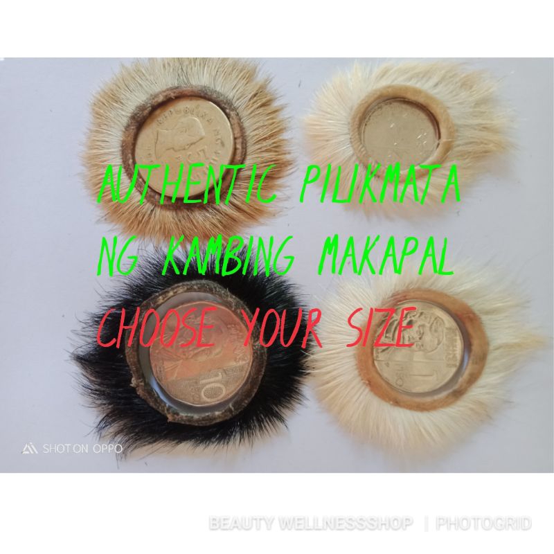 AUTHENTIC PILIKMATA NG KAMBING GOAT EYELASH PILIK MATA NG KAMBING RING ...