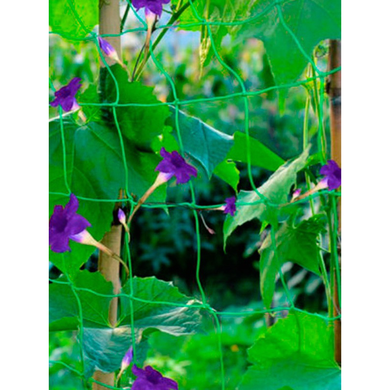 Garden Nylon Netting Green Chicken Net Range Net Farm Net Outdoor ...