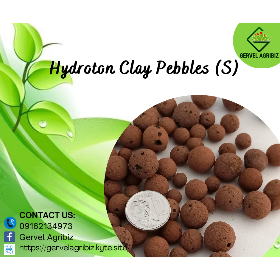 Hydroton Clay Pebbles/ Light Expanded Clay Pebbles for Hydrophonics ...