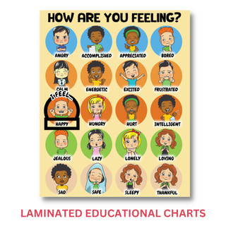 Laminated How Are You Feeling Chart, Emotions Chart, Feelings Chart ...