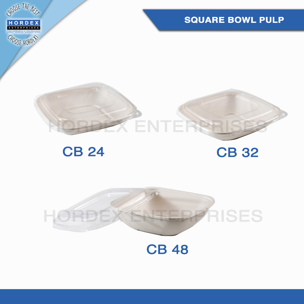SQUARE BOWL PULP (10pcs) | Shopee Philippines