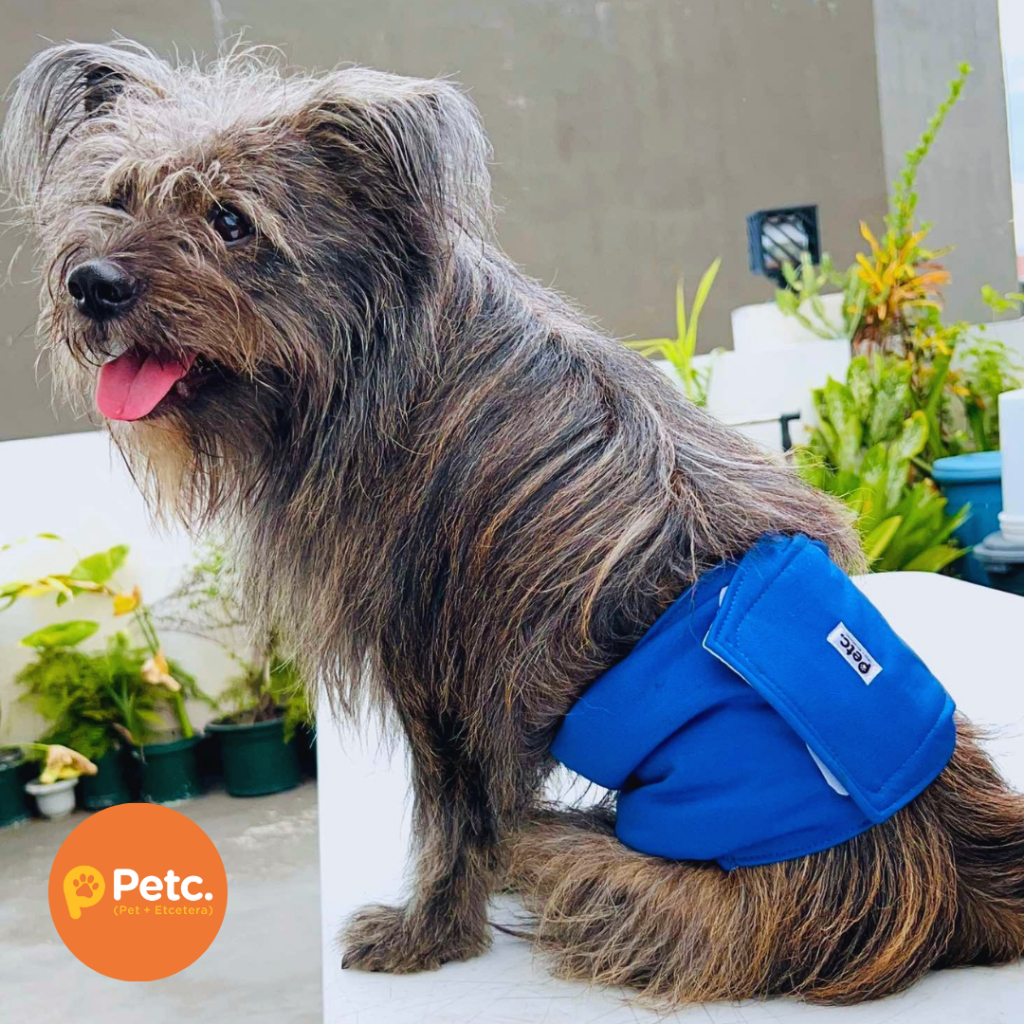 Washable Male Dog Wraps - Royal Blue | Shopee Philippines